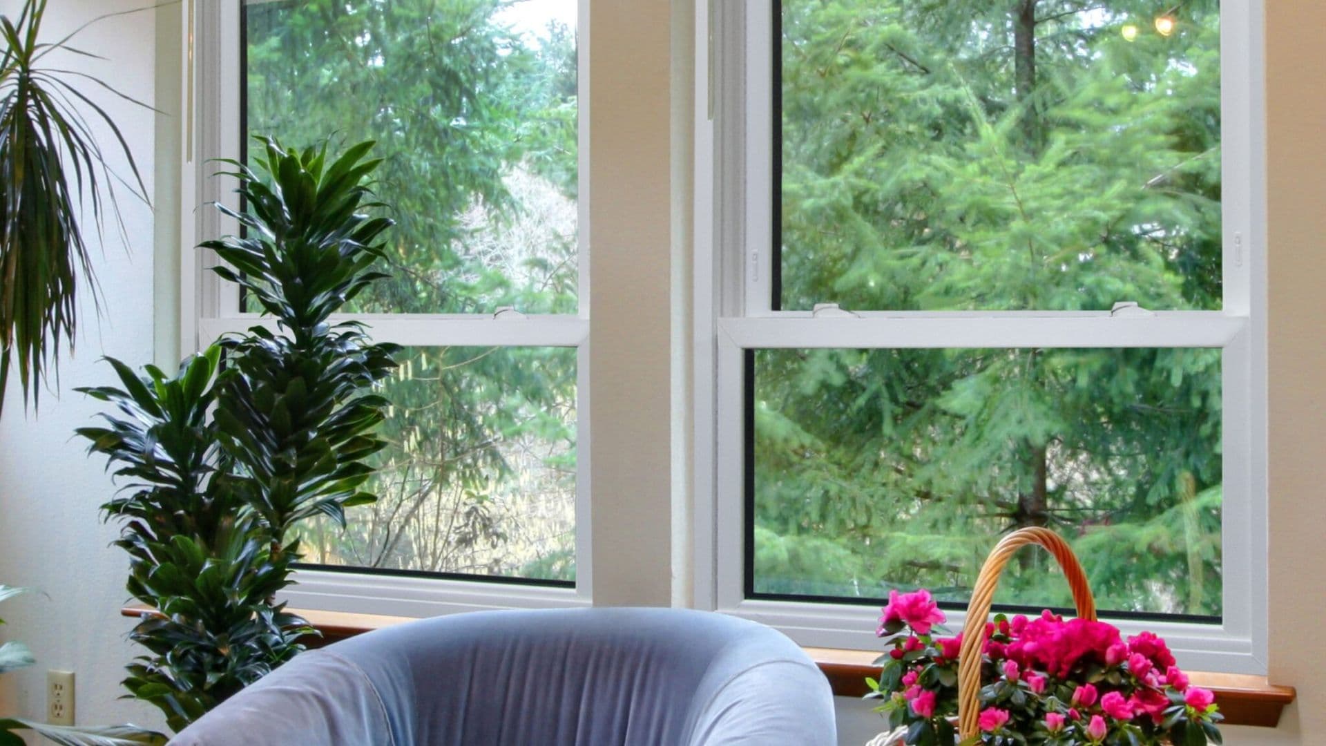 Everything You Need to Know About Window Ratings in South Carolina ...